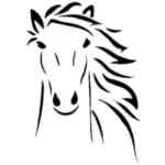 Foxcote House Livery Yard & Riding School