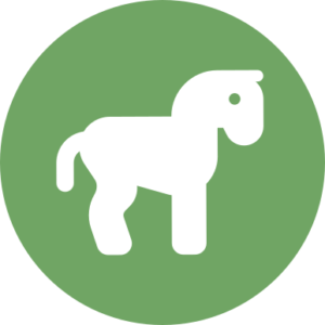 Foxcote House Livery Yard & Riding School